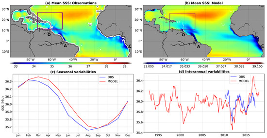 Contribution of the Amazon River Discharge to Regional Sea Level in the ...