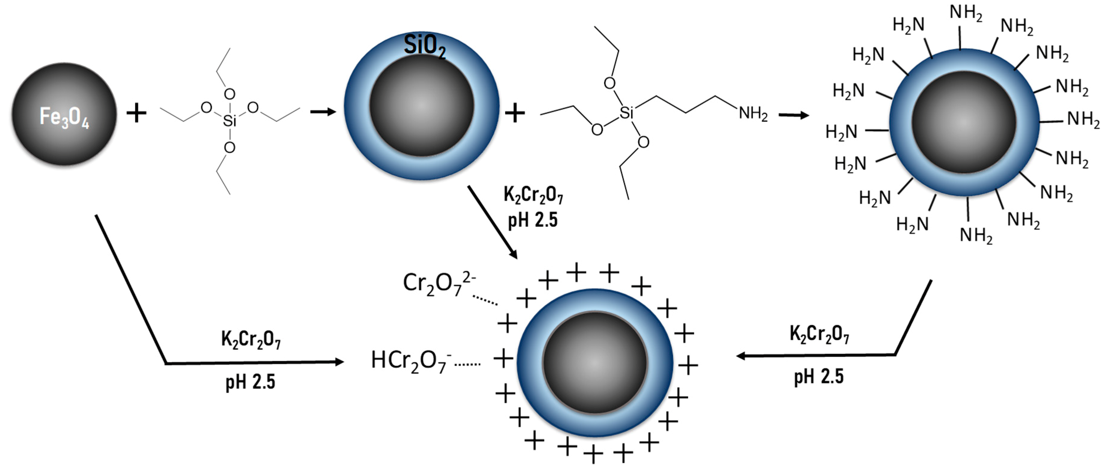 Water Free Full Text Effect Of The Surface Charge On The Adsorption
