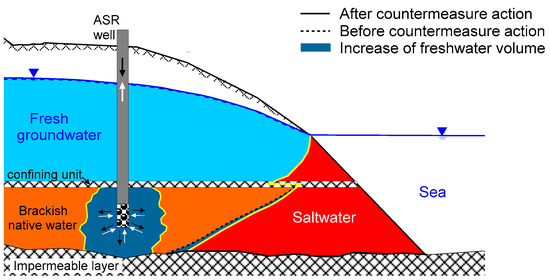 Management of Seawater Intrusion in Coastal Aquifers: A Review