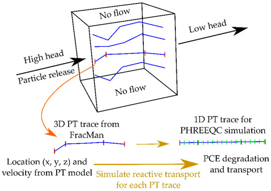 Water | Free Full-Text | Particle-Based Workflow for Modeling Uncertainty of Reactive Transport ...