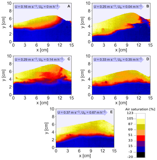 Impact of Bed Form Celerity on Oxygen Dynamics in the Hyporheic Zone