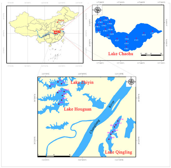Comparison of Community and Function of Dissimilatory Nitrate Reduction ...