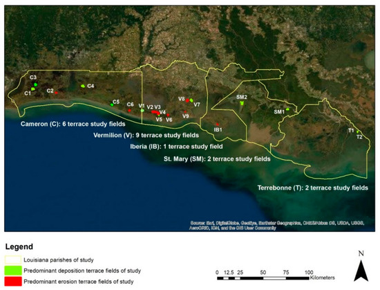 Evaluation of Marsh Terraces for Wetland Restoration: A Remote Sensing ...