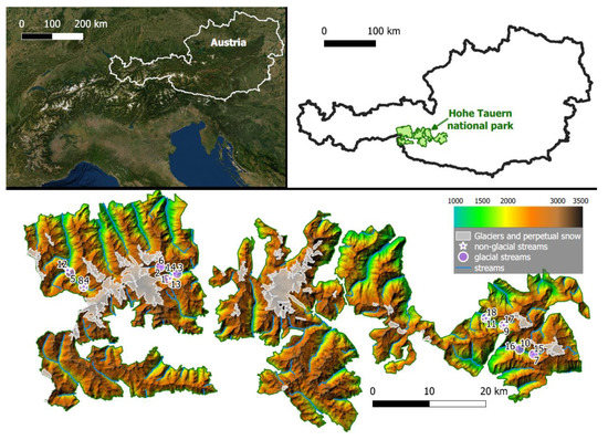 Glacial Stream Ecology: Structural and Functional Assets