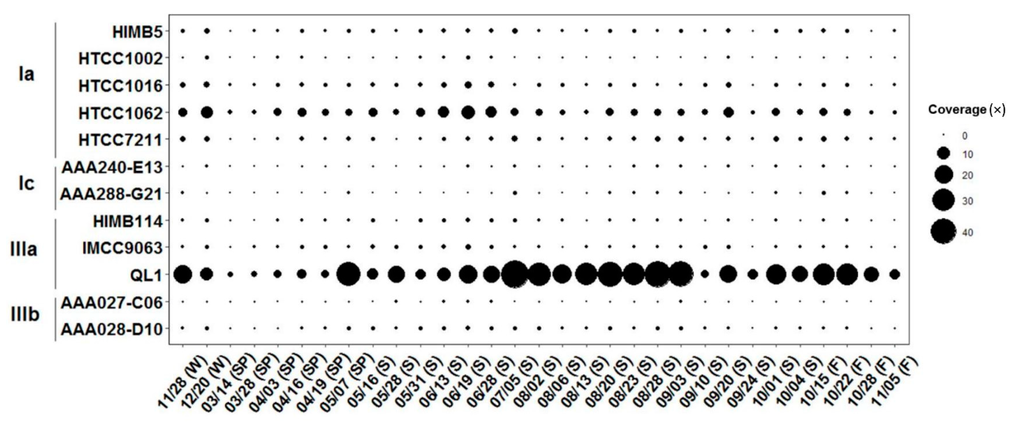 Metagenomics Uncovers a Core SAR11 Population in Brackish Surface ...