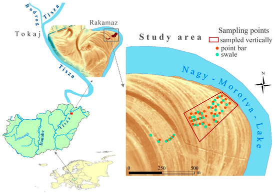 Geomorphology as a Driver of Heavy Metal Accumulation Patterns in a ...