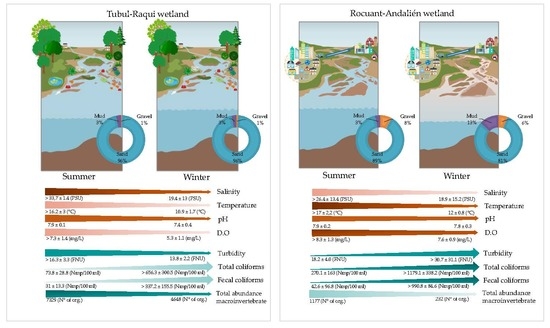 Water | Free Full-Text | Coastal Wetlands: Ecosystems Affected by ...