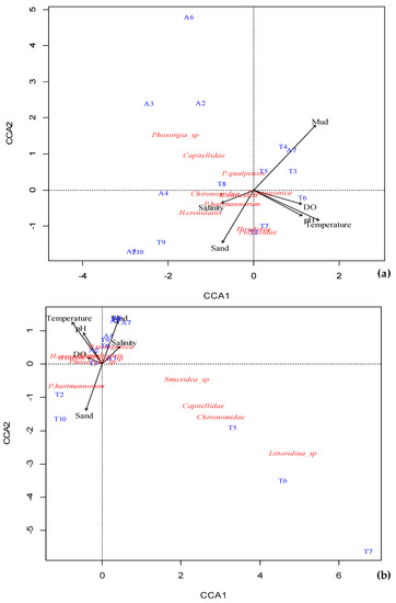 Water | Free Full-Text | Coastal Wetlands: Ecosystems Affected by ...