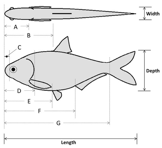 Within and Among Fish Species Differences in Simulated Turbine Blade ...