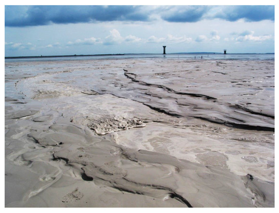 The Application of the Seismic Cone Penetration Test (SCPTU) in ...