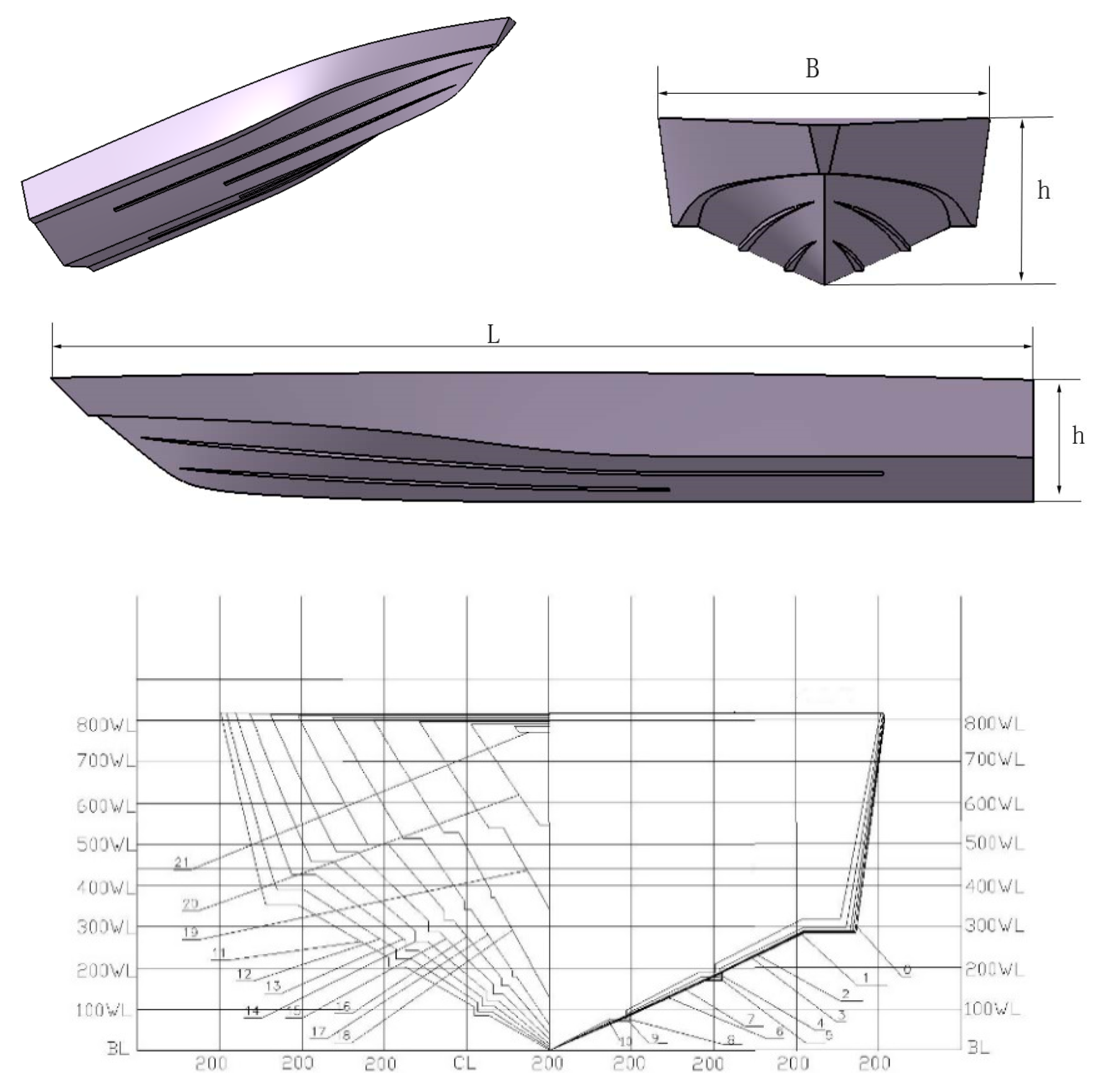 Seakeeping Analysis of Planing Craft under Large Wave Height