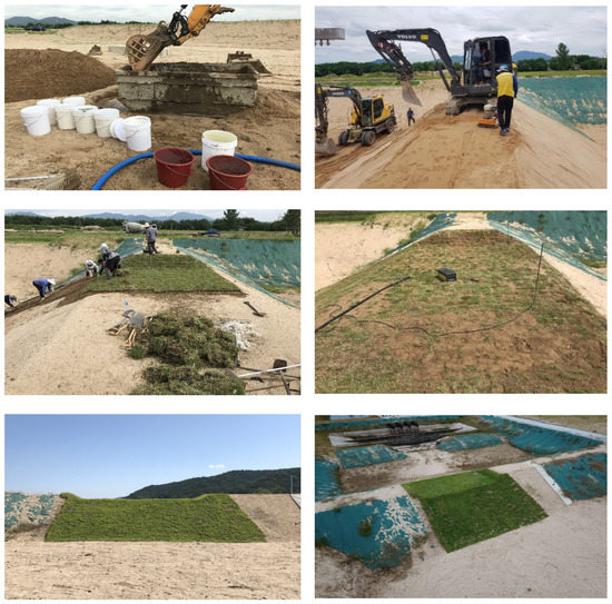 Biopolymer-Reinforced Levee for Breach Development Retardation and ...
