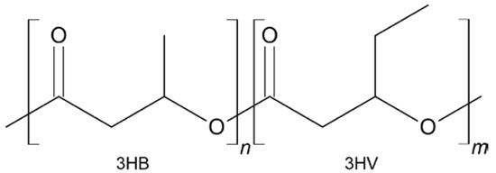 Optimization of Green Extraction and Purification of PHA Produced by ...