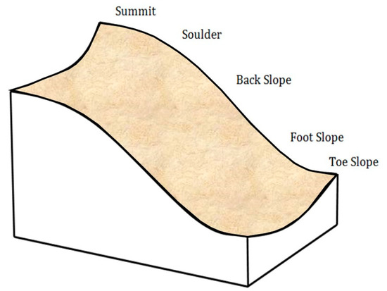Effect of Rainfall, Runoff and Infiltration Processes on the Stability ...