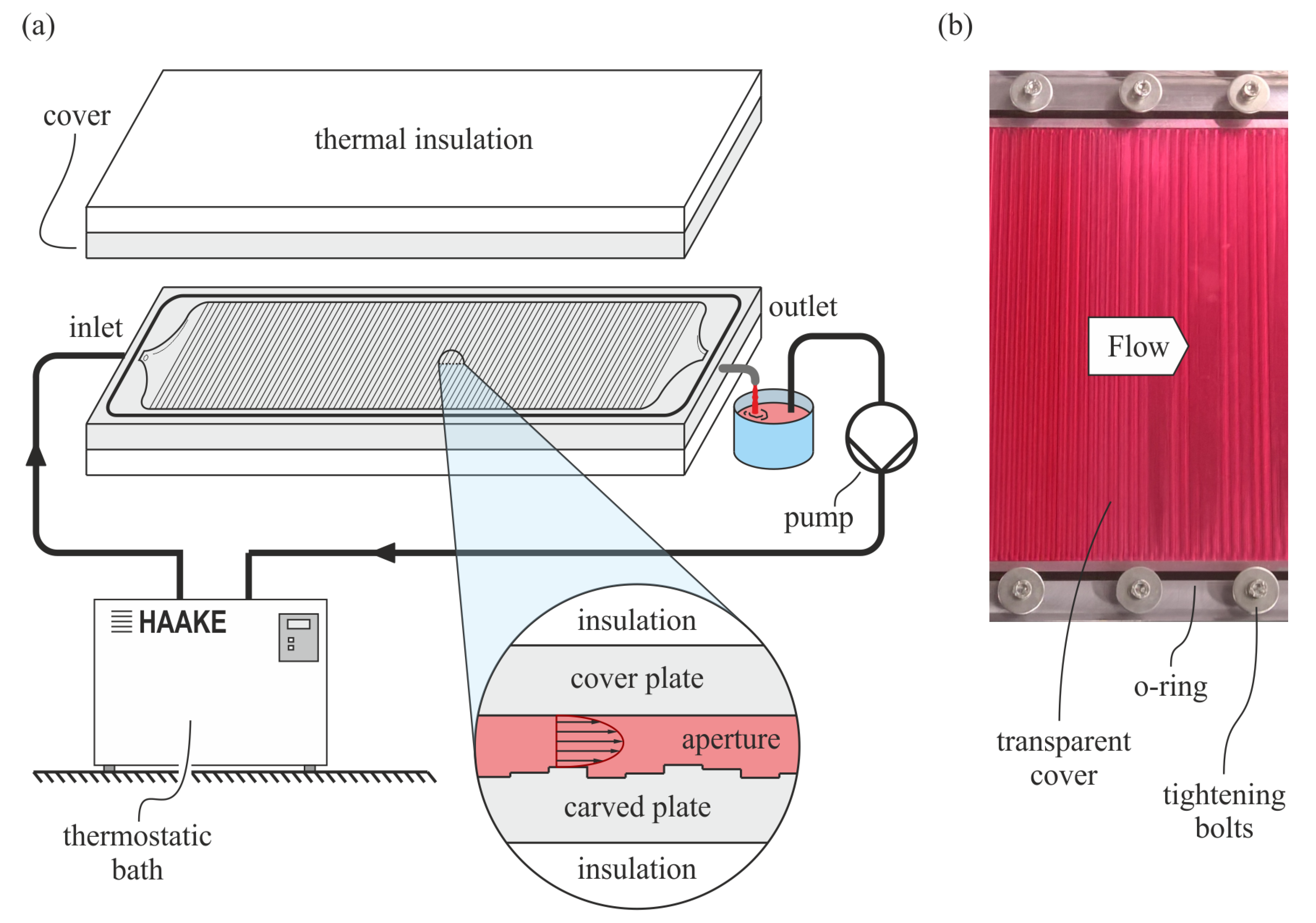 An Experimental Setup to Investigate Non-Newtonian Fluid Flow in ...