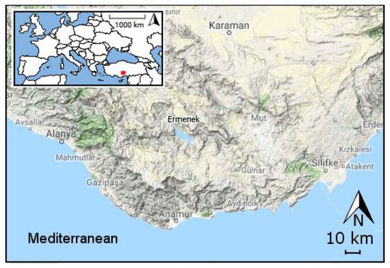 Comparative Analysis of Recurrent Neural Network Architectures for Reservoir Inflow Forecasting