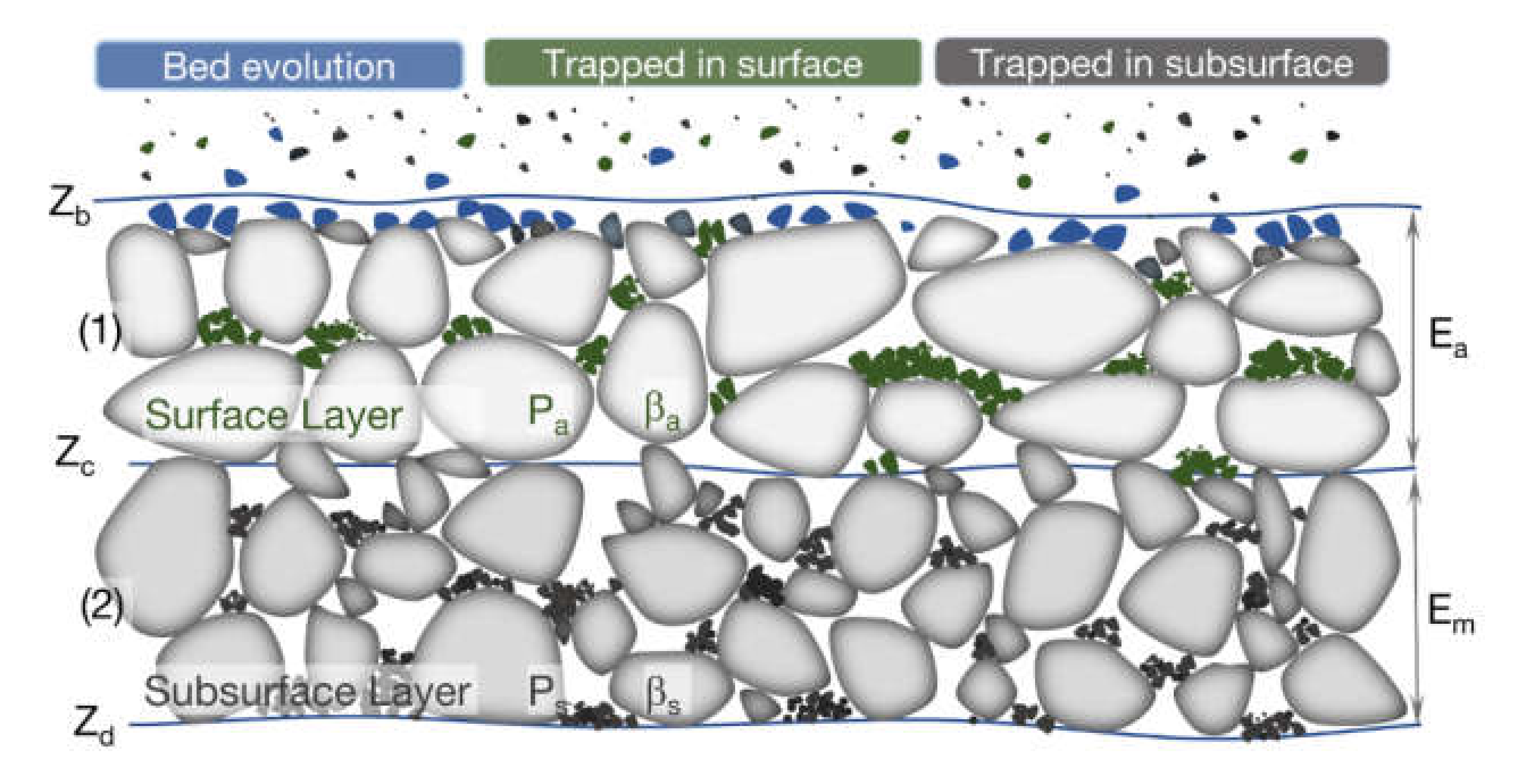 The Prediction of Fine Sediment Distribution in Gravel-Bed Rivers Using ...