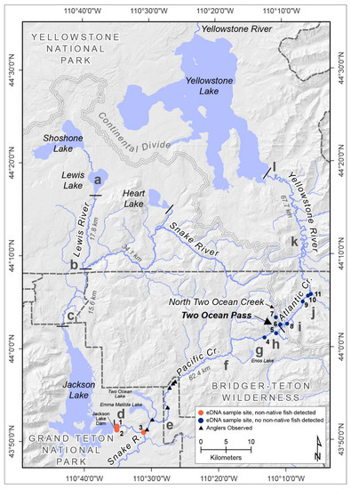 Water | Free Full-Text | Two Ocean Pass: An Alternative Hypothesis for ...