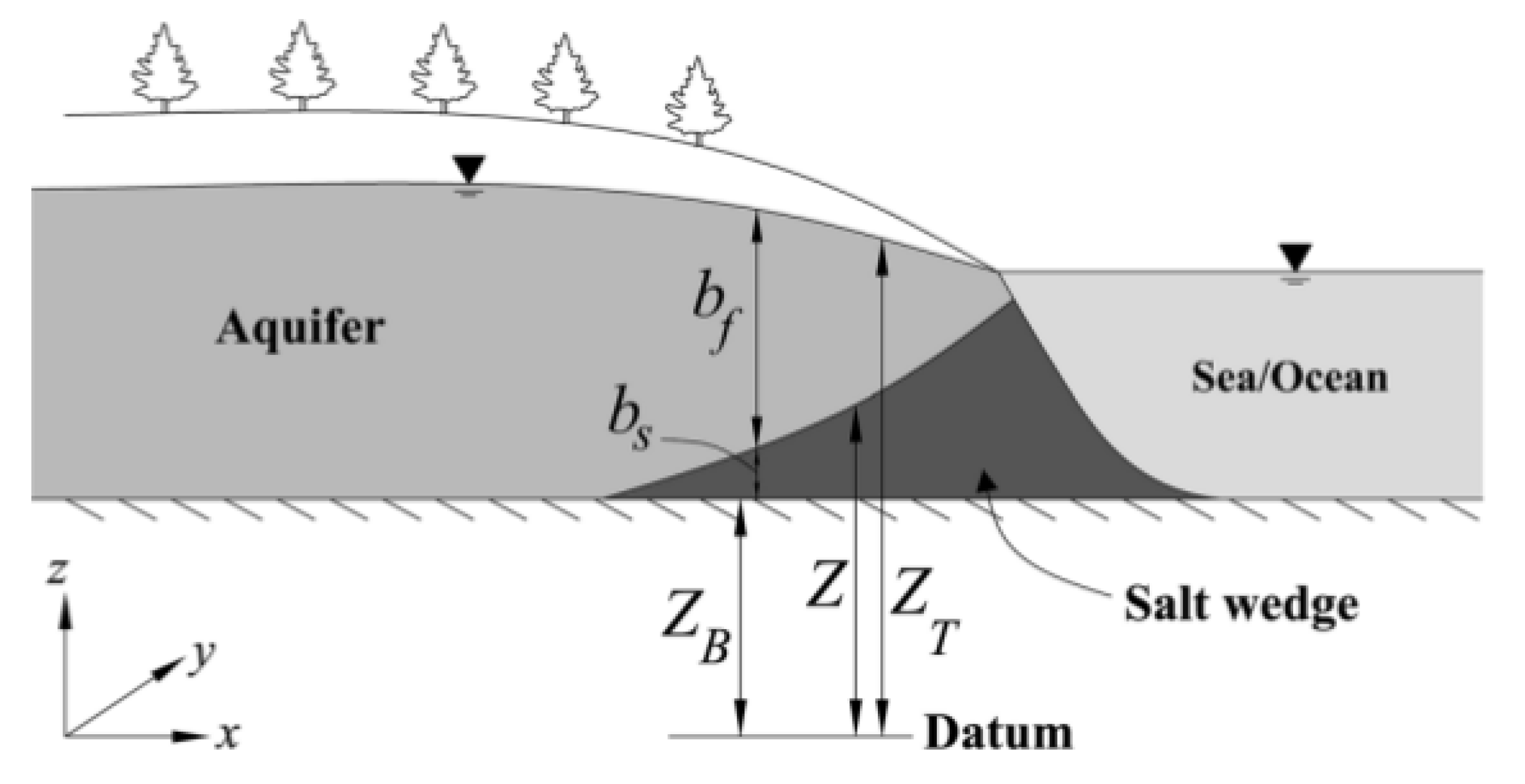 A Fully Implicit Finite Volume Scheme for a Seawater Intrusion Problem ...