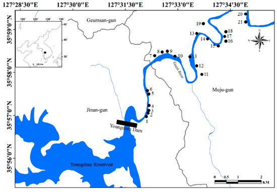 Effect of Microhabitat Structure on the Distribution of an Endangered ...