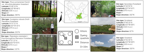 Water | Free Full-Text | Response of Preferential Soil Flow to ...