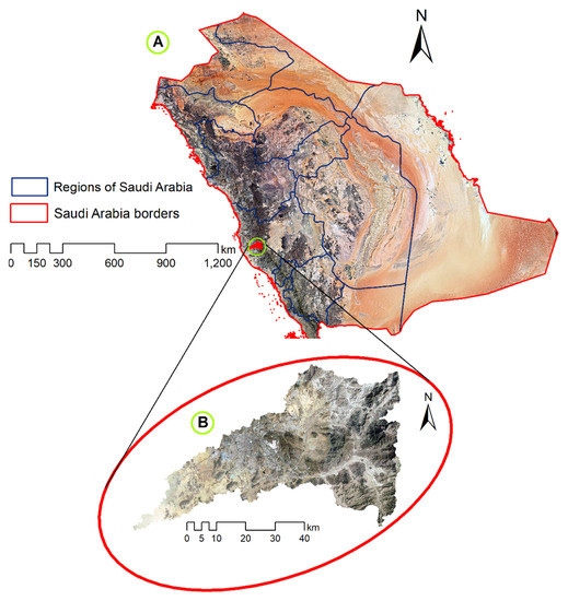 Estimation of Surface Water Runoff for a Semi-Arid Area Using RS and ...