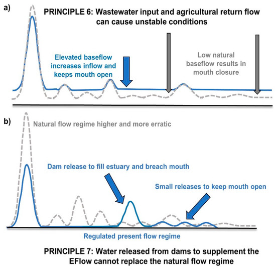 Ten Principles to Determine Environmental Flow Requirements for ...