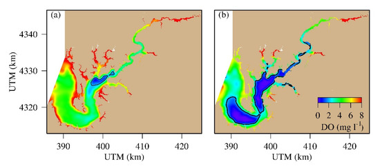 Factors Controlling Hypoxia Occurrence in Estuaries, Chester River ...