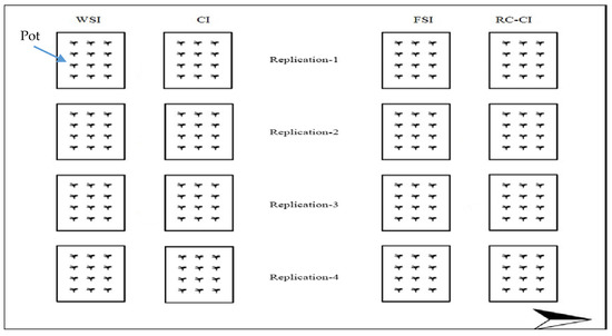 Water | Free Full-Text | Effects of Different Irrigation Methods on ...