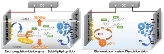 Comparing the Effects of Types of Electrode on the Removal of Multiple ...