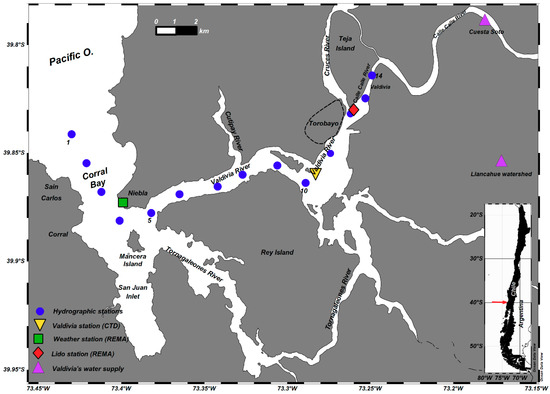 Water | Free Full-Text | Tidally Forced Saltwater Intrusions might ...