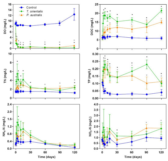 Winter Decomposition of Emergent Macrophytes Affects Water Quality ...