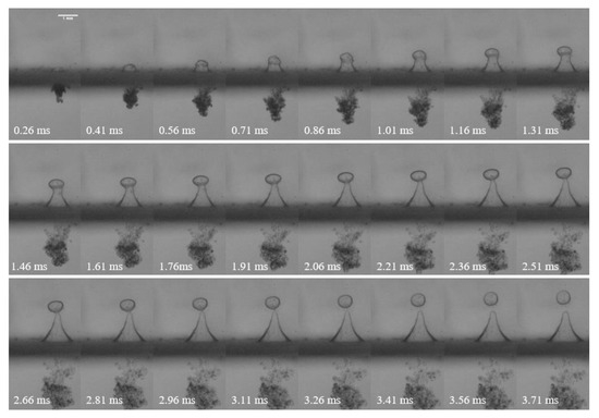 Dynamic Characteristics of Bubble Collapse Near the Liquid-Liquid Interface