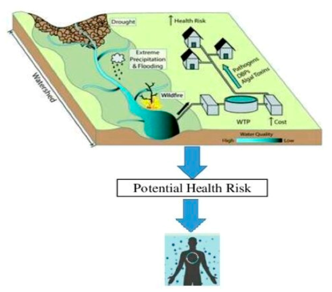 Water | Free Full-Text | Analysis and Control of the Physicochemical ...