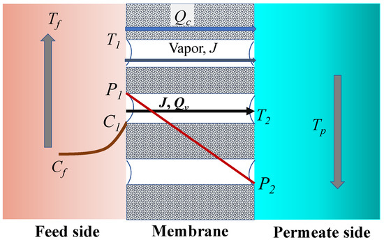 Interplay of the Factors Affecting Water Flux and Salt Rejection in ...