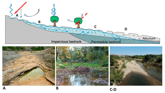 Conservation and Management of Isolated Pools in Temporary Rivers