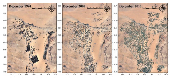 Groundwater Quality Assessment of a Multi-Layered Aquifer in a Desert ...