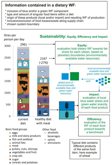 Water Resources for Sustainable Healthy Diets: State of the Art and Outlook