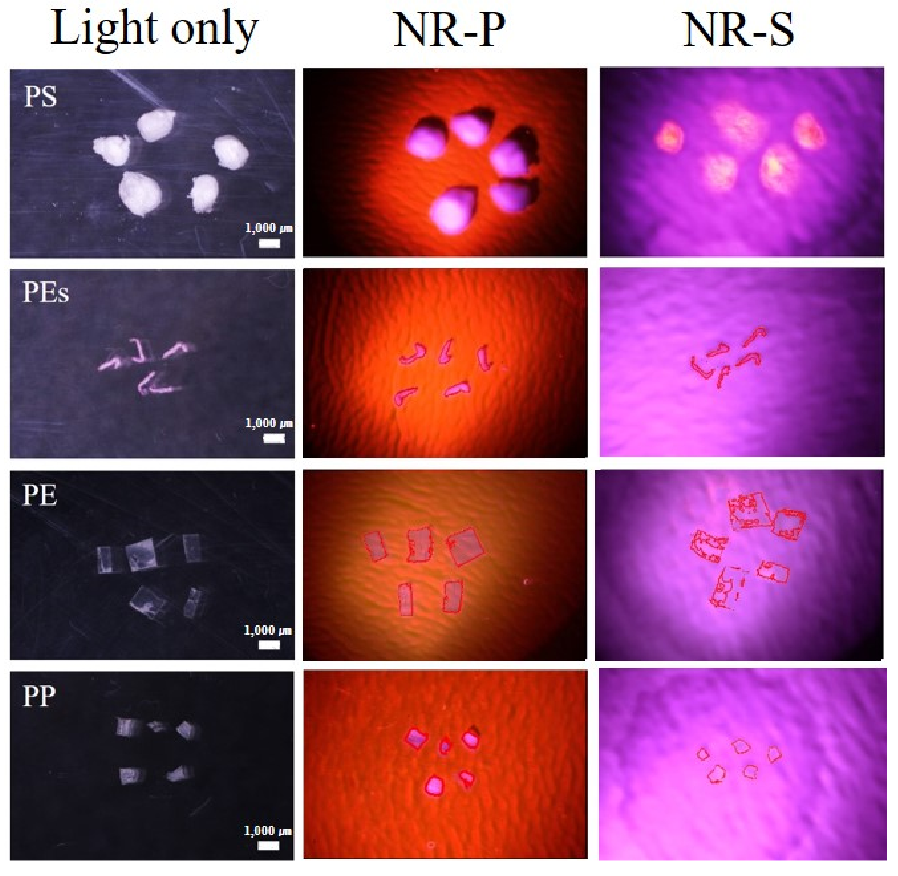 Water | Free Full-Text | Modification of a Nile Red Staining Method for Microplastics Analysis ...