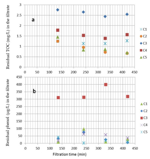 Filtration Process and Alternative Filter Media Material in Water Treatment