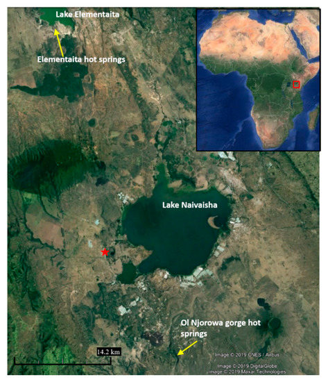 Dissolved Organic Matter in Continental Hydro-Geothermal Systems ...