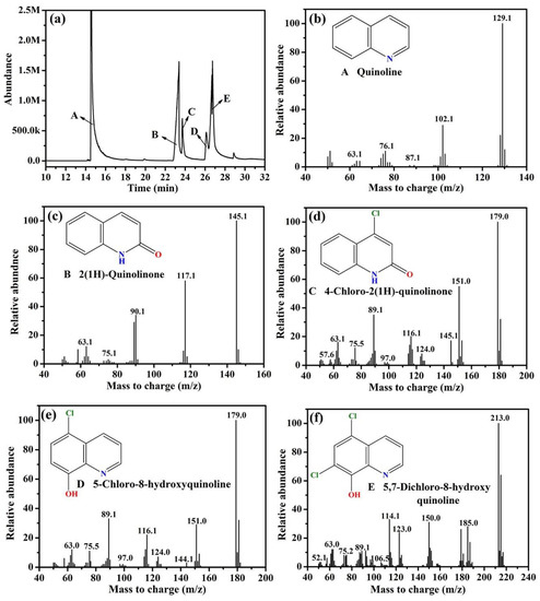 Impact of Active Chlorines and •OH Radicals on Degradation of Quinoline ...