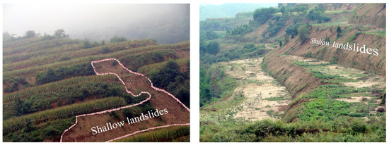 Diversion Terraces Zero Waste Massachusetts Issues Report On Diversion