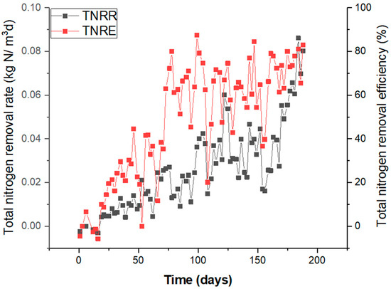 Water | Free Full-Text | Start-Up of Anammox SBR from Non-Specific ...