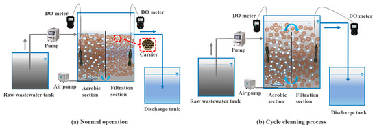 A Highly Packed Biofilm Reactor with Cycle Cleaning for the Efficient Treatment of Rural Wastewater