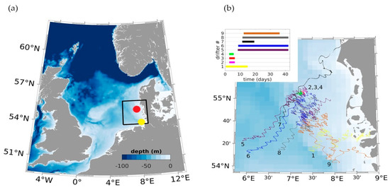 Effects of Wave-Induced Processes in a Coupled Wave–Ocean Model on ...