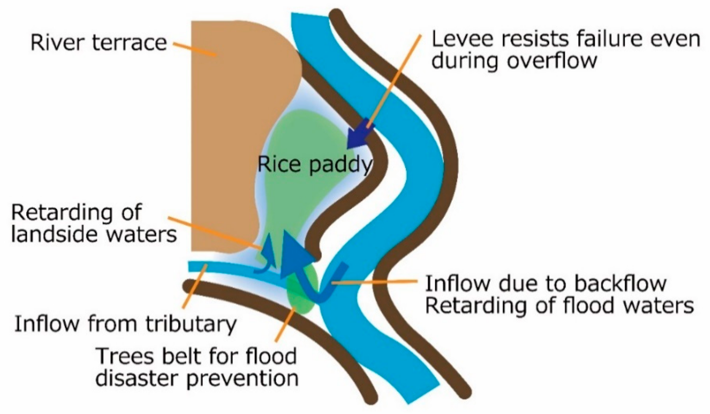 Advantages of the Open Levee (Kasumi-Tei), a Traditional Japanese River ...
