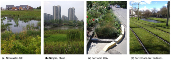 International Perceptions of Urban Blue-Green Infrastructure: A ...