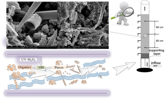 Water | Free Full-Text | Research about Organic Matter Removal and ...