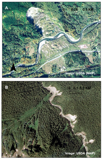 Vegetation and Geomorphic Connectivity in Mountain Fluvial Systems